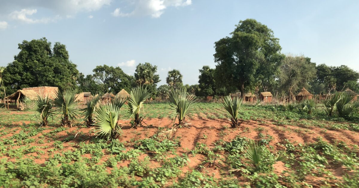 Chad: From displacement sites to host communities – Multi-sector needs ...