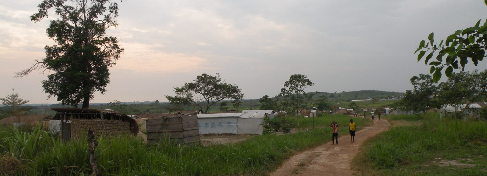DRC: Assessing the environmental impact of the increasing presence of ...