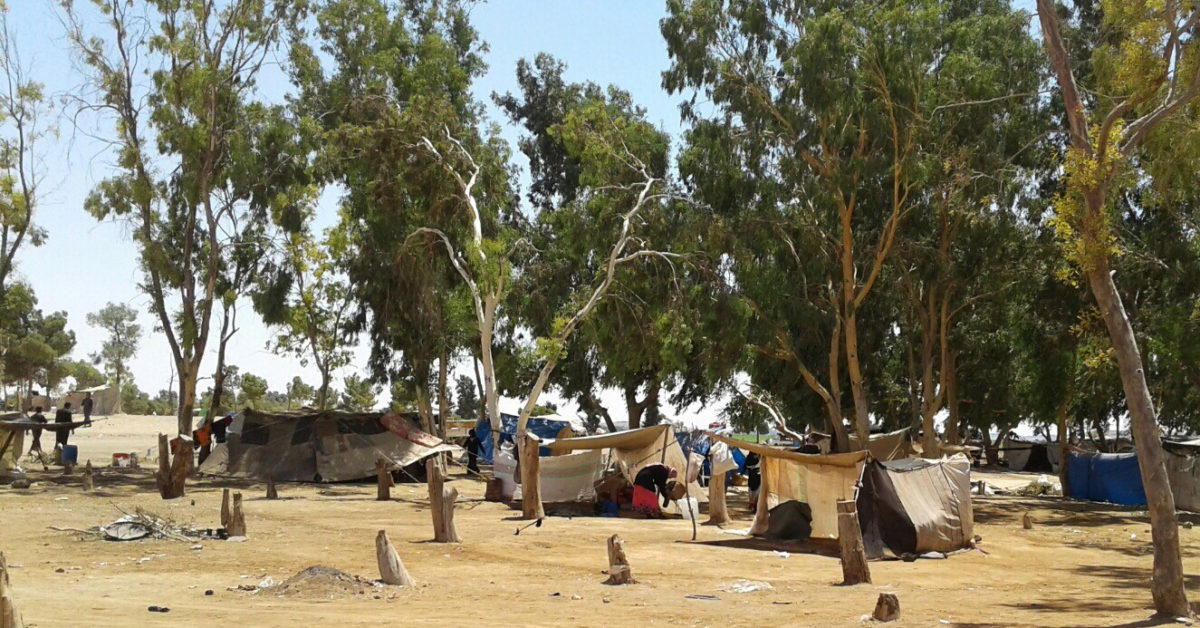 Syria: Assessing the needs of IDPs in sites across Ar-Raqqa and Al ...