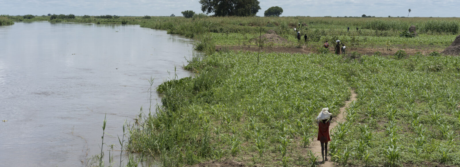 South Sudan: Unfolding public health crisis and rising humanitarian ...